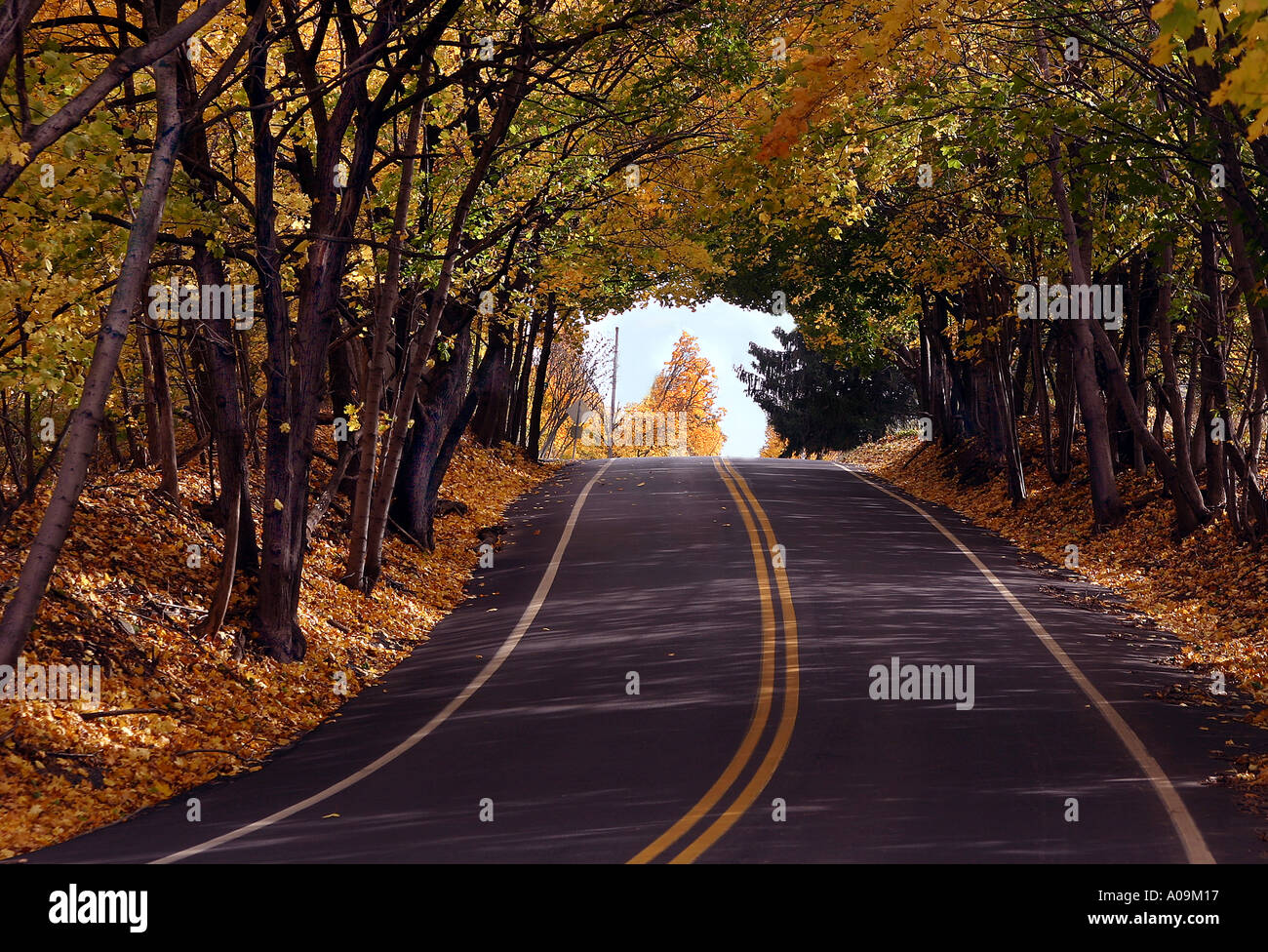 Rising through road hi-res stock photography and images - Alamy