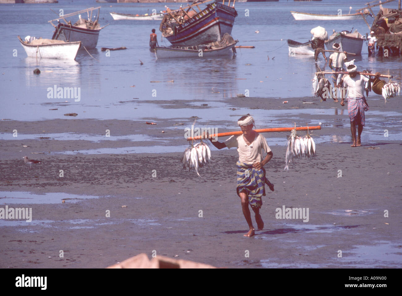 Yanbo saudi hi-res stock photography and images - Alamy