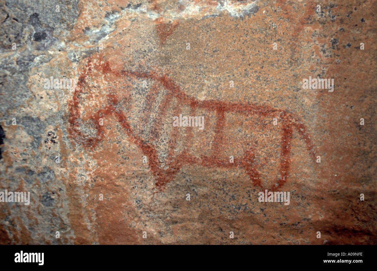 San cave painting Stock Photo - Alamy