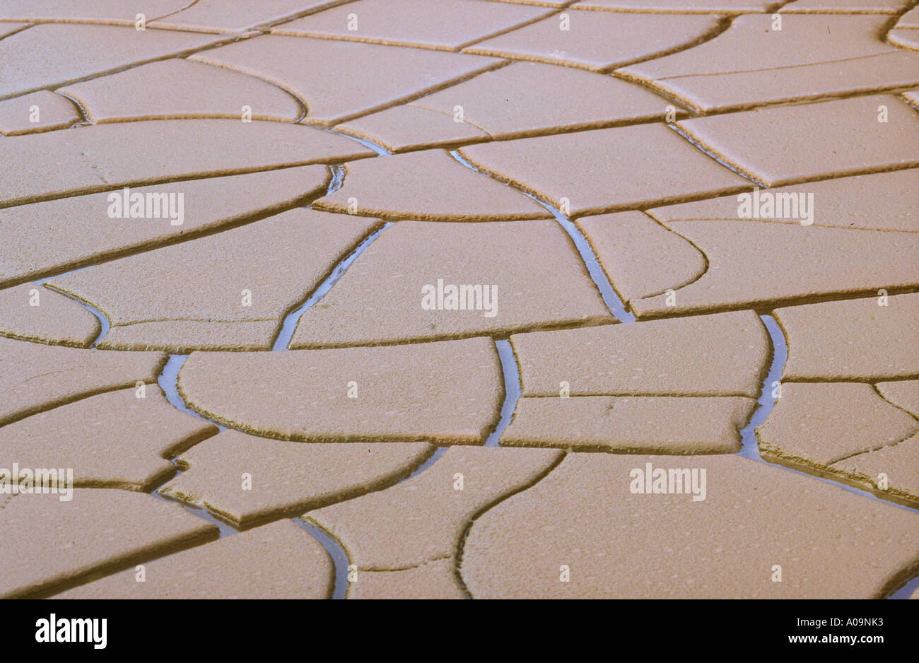 Crazy paving pattern hi-res stock photography and images - Alamy