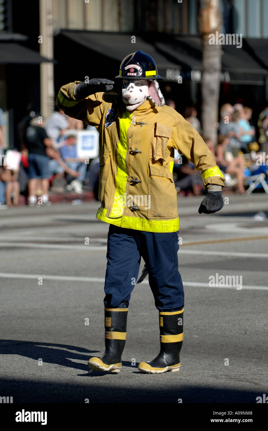 Doo Dah Parade Firefighter dog doing hand salute at the Pasadena Doo ...
