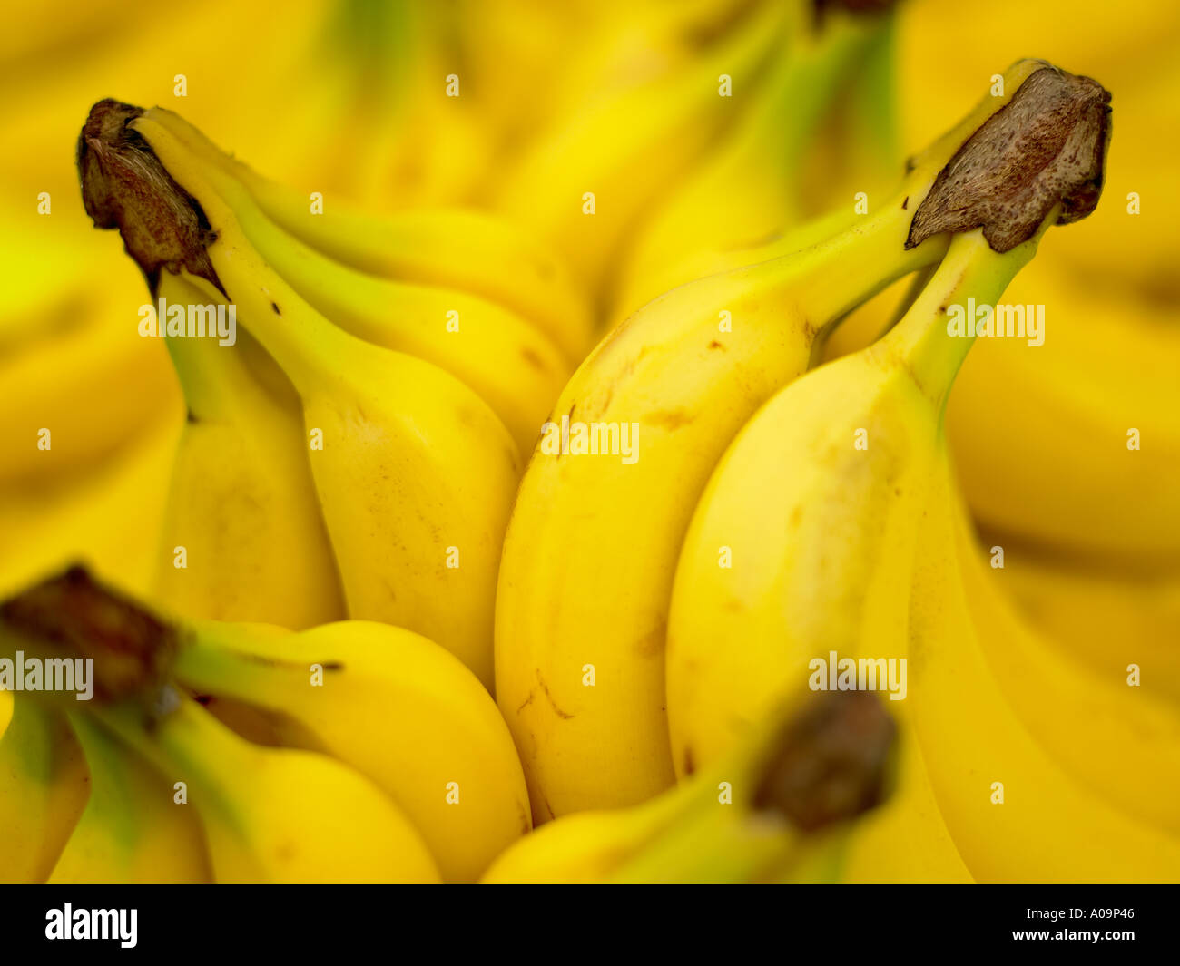 Slapstick slip hi-res stock photography and images - Alamy