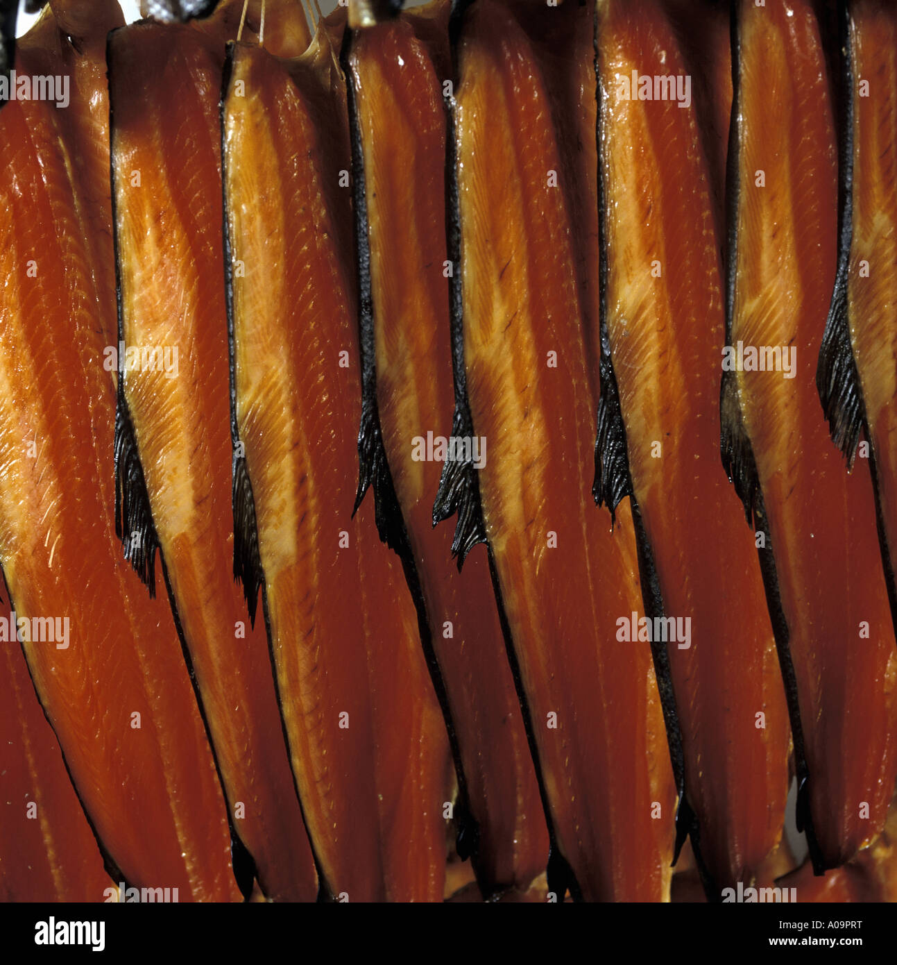 smaked salmon hanging on racks Stock Photo - Alamy