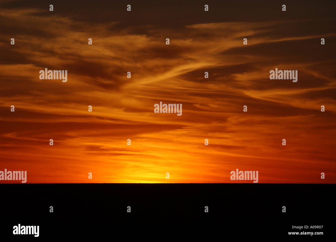 Kalahari desert sunset hi-res stock photography and images - Alamy