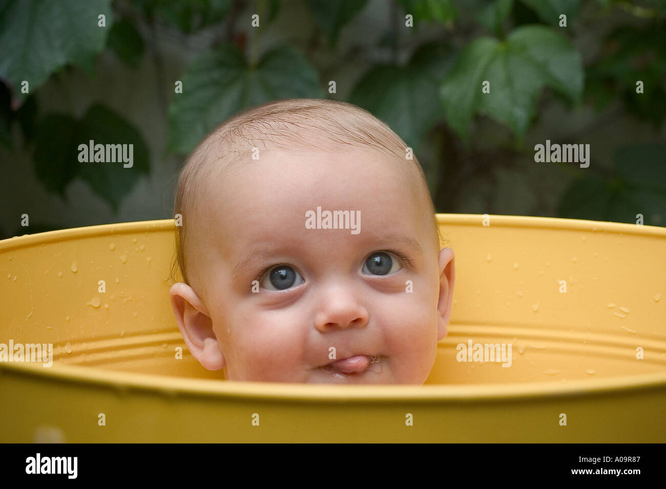baby in a bucket taking a bath Stock Photo - Alamy