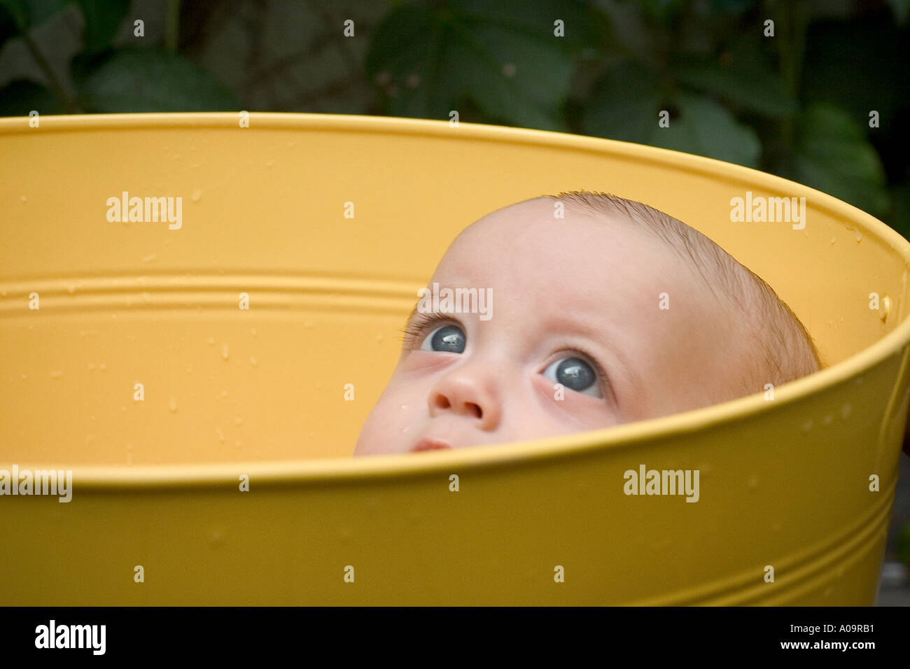 Baby in a bucket hi-res stock photography and images - Alamy
