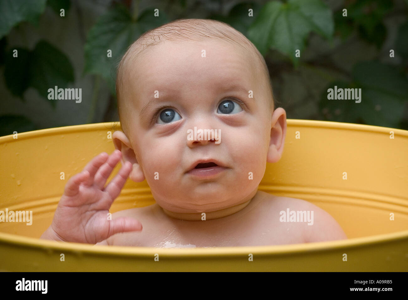 baby in a bucket taking a bath Stock Photo - Alamy
