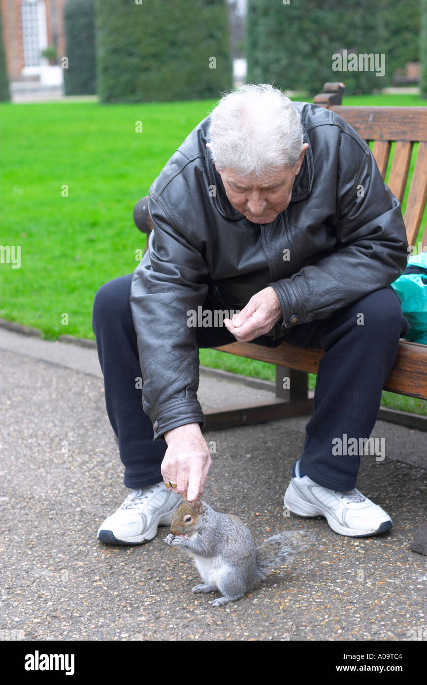 Old man and squirrel hi-res stock photography and images - Alamy