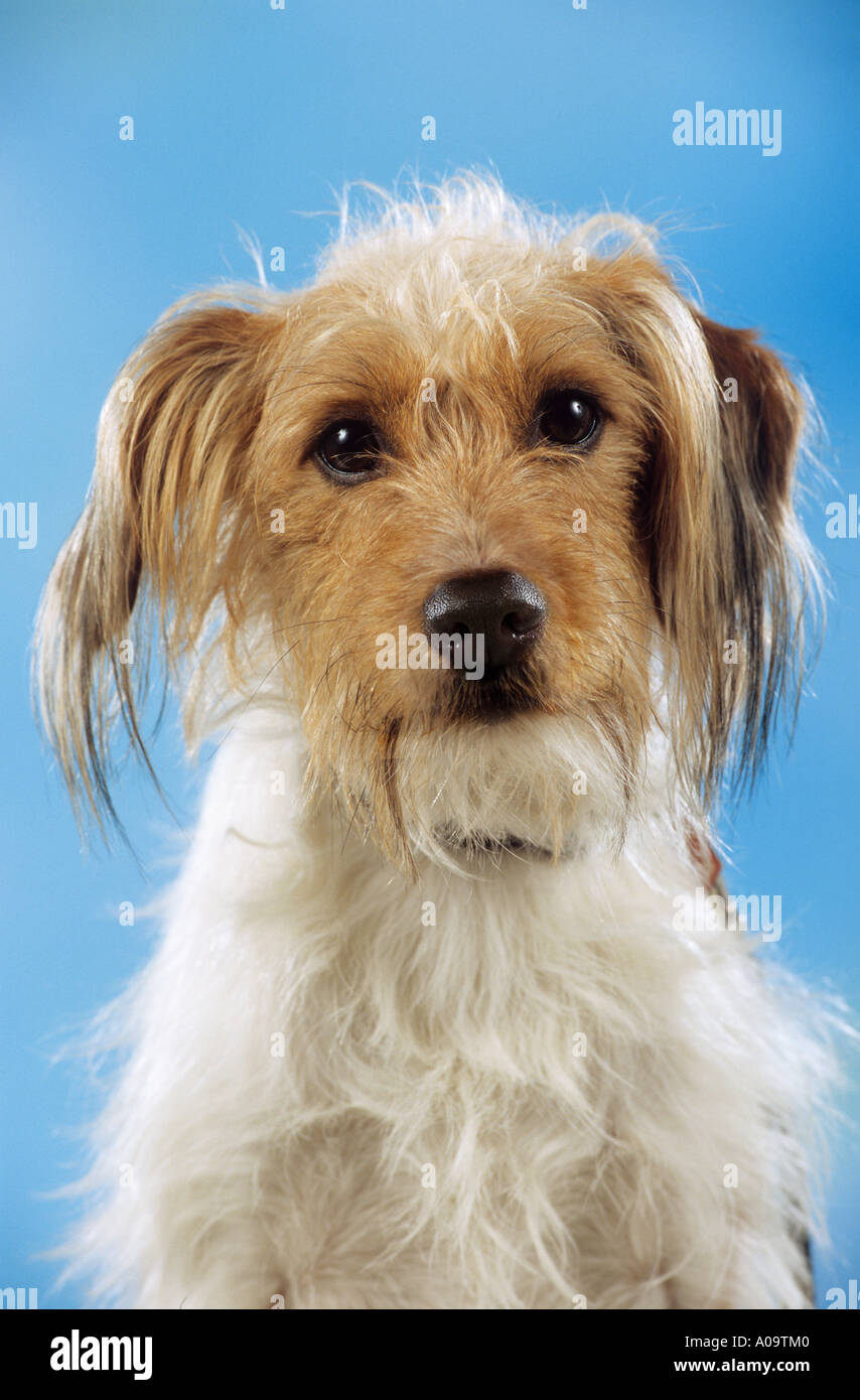 Half size portrait hi-res stock photography and images - Alamy