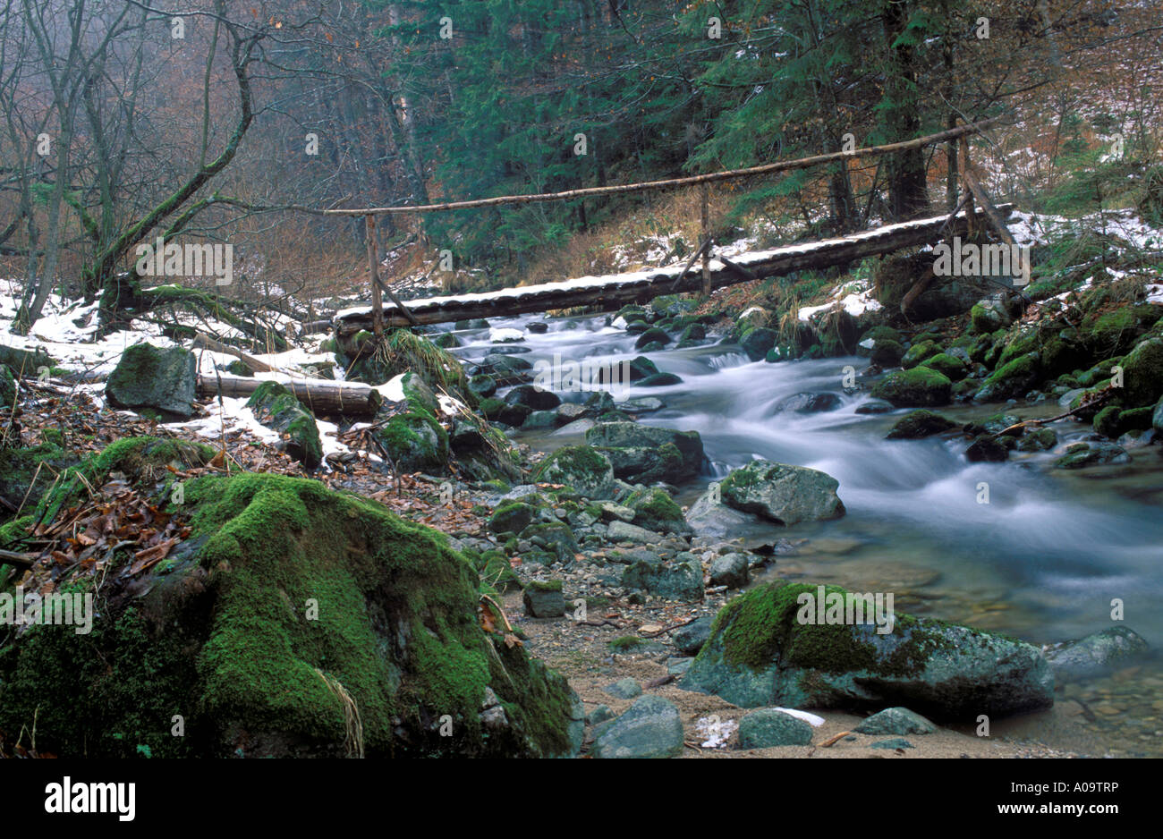 Bach Fliessen Wasser Wald Bruecke ueber einen Bach im Wald, Landscape ...