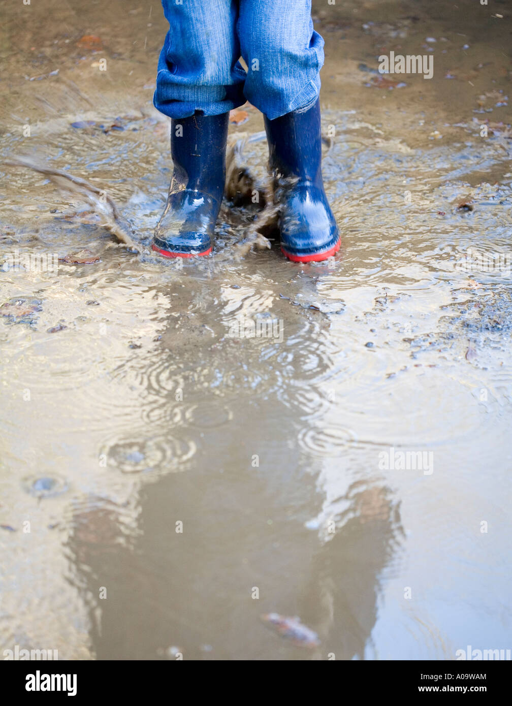 Stepping into a puddle Stock Photo - Alamy