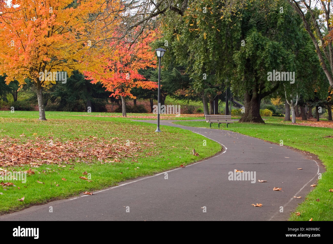 Path in Skinner Butte Park Eugene Oregon Stock Photo - Alamy