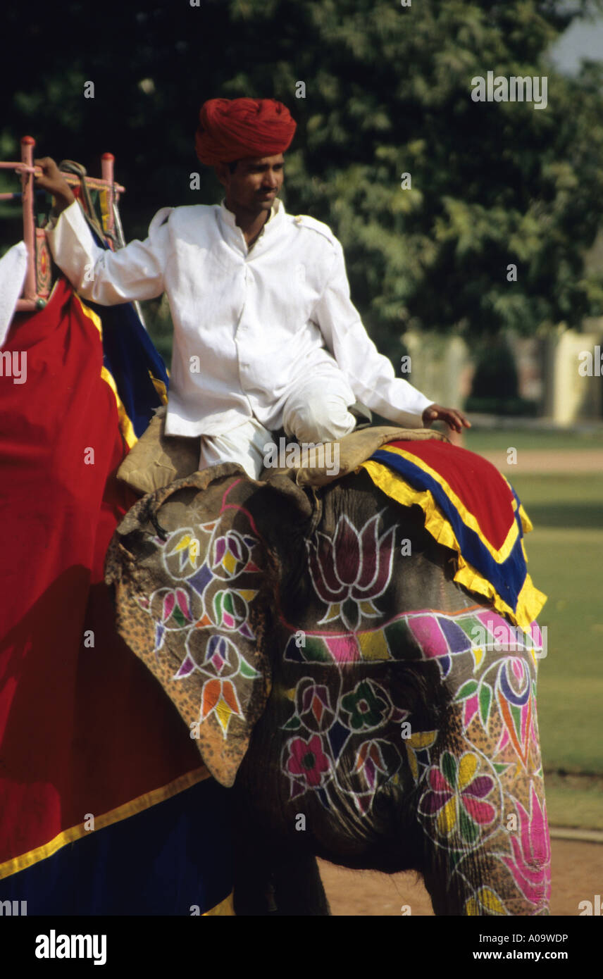 Elephant and his rider hi-res stock photography and images - Alamy