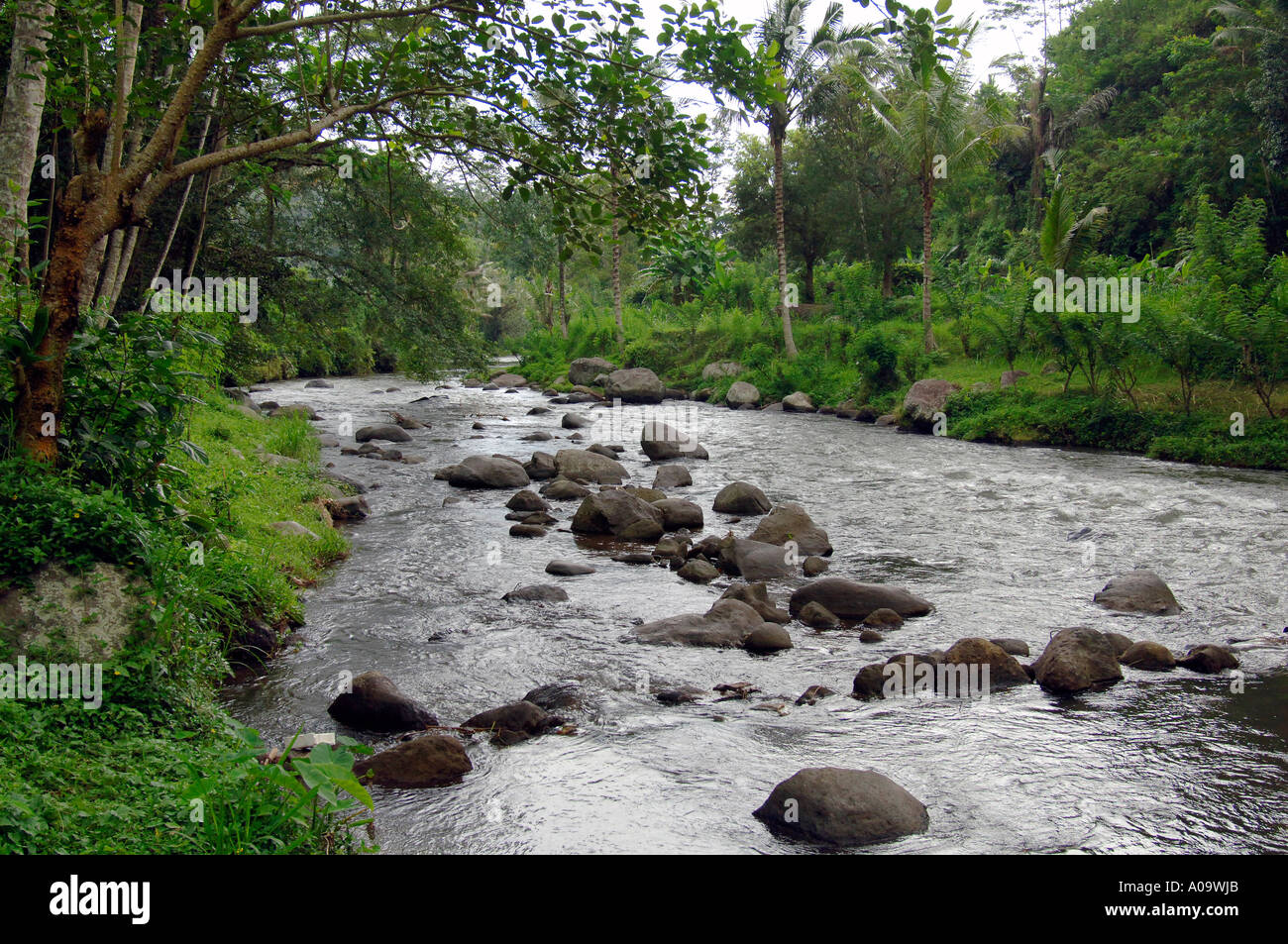 Ayung River gorge, Ubud, Bali Indonesia Stock Photo - Alamy