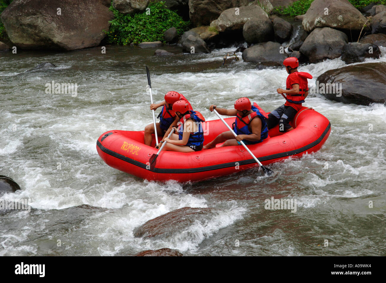 Ayung hi-res stock photography and images - Alamy