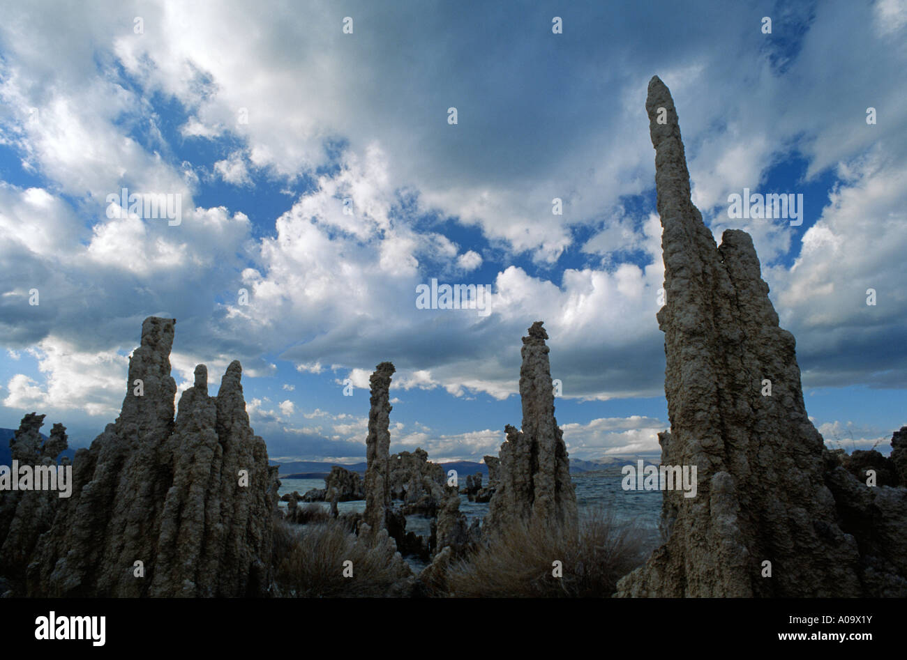 Storm clouds form over MONO LAKE at SOUTH TUFA GROVE in this National ...