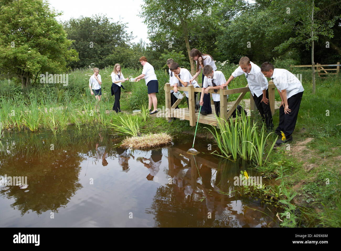 Pond Dipping Nets For Schools at Danny Garza blog