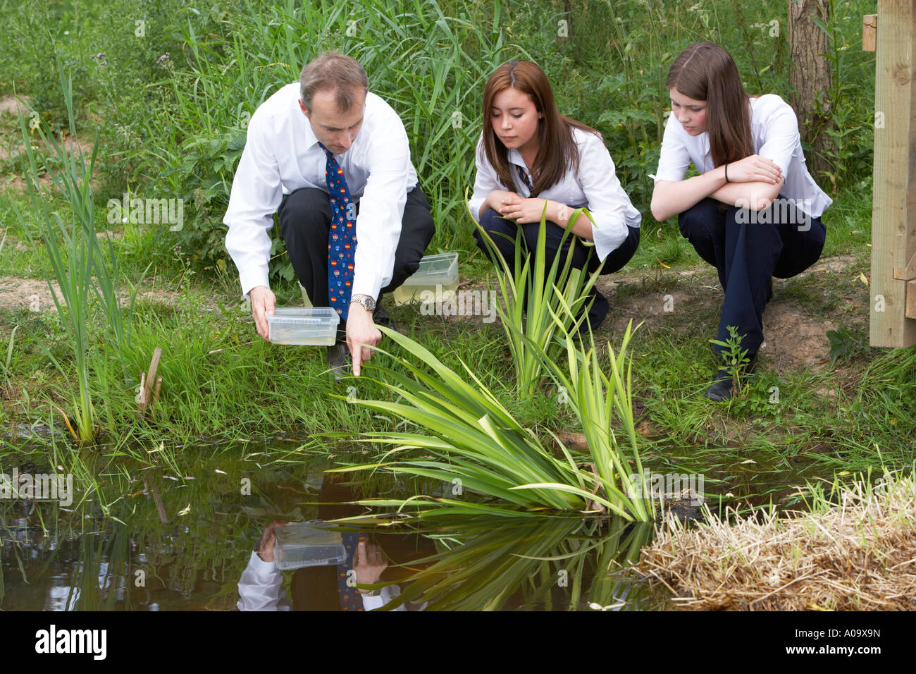 Pupils pond dipping during a biology lesson at school Stock Photo - Alamy