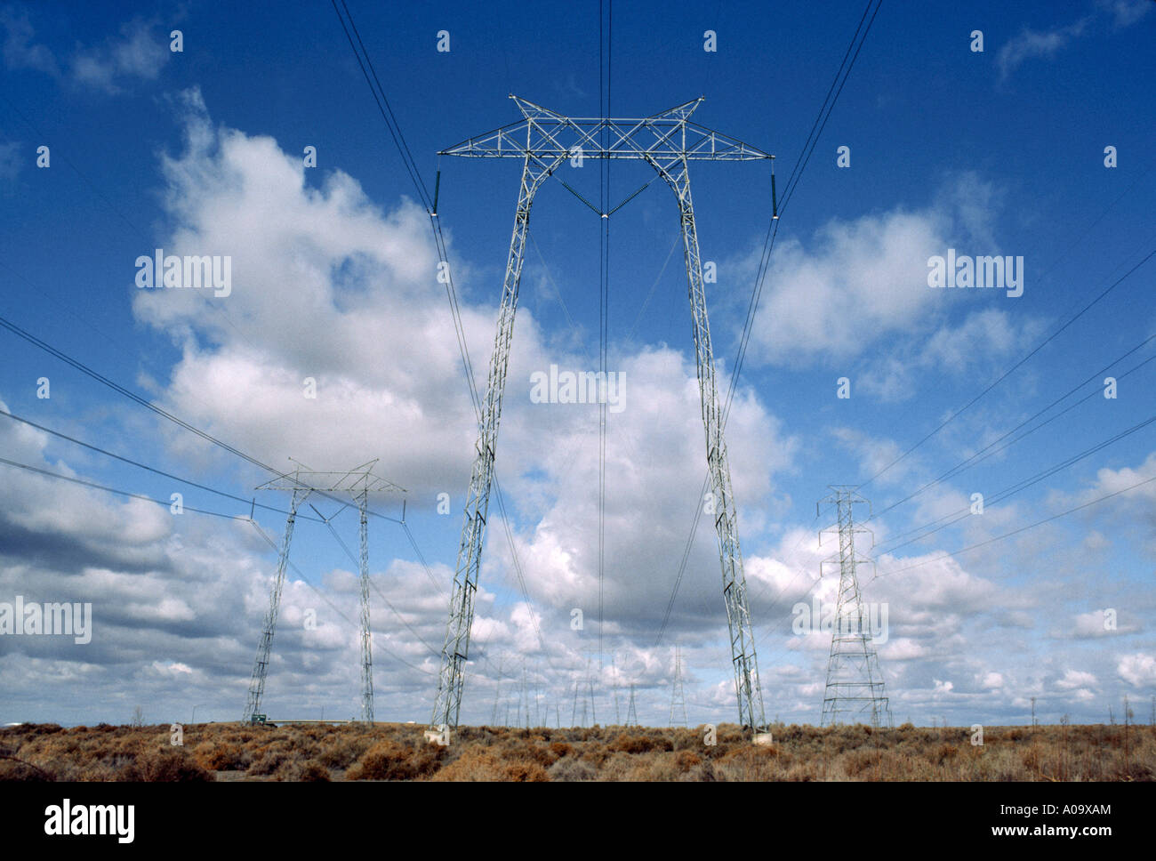 ELECTRIC POWER LINES run across a wide open plain under puffy CLOUDS ...