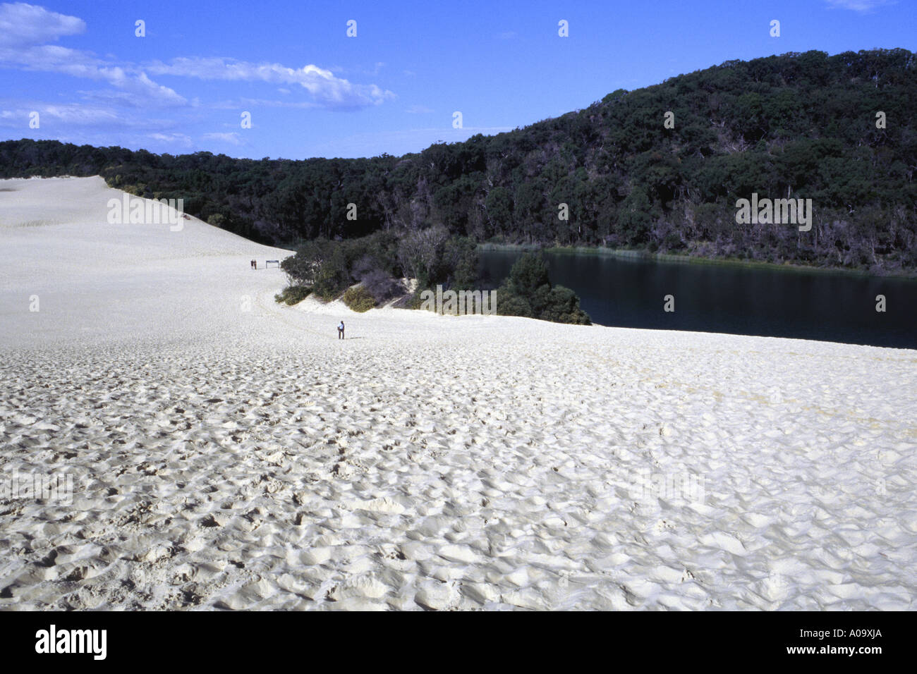 Lake Wabby on the largest sand island in the world, Fraser Island Stock ...
