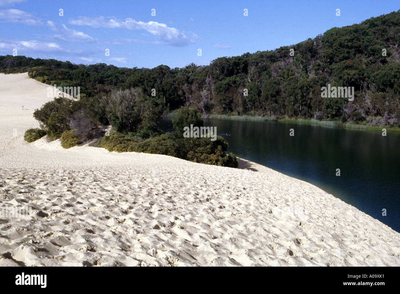 Fraser island queensland lake wabby hi-res stock photography and images ...