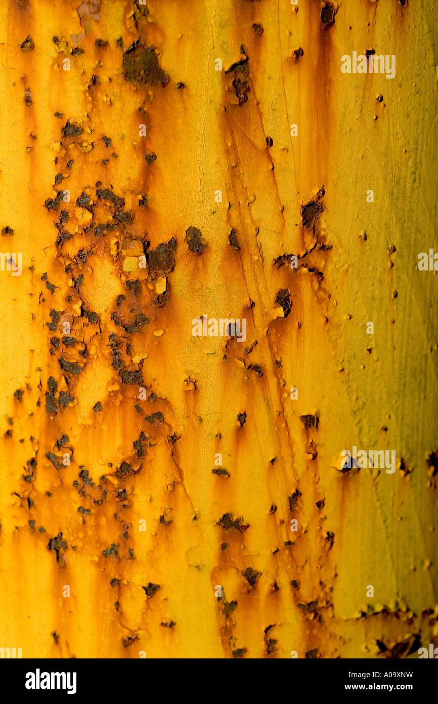 Rusted metal stains with yellow paint textures and patterns Stock Photo ...