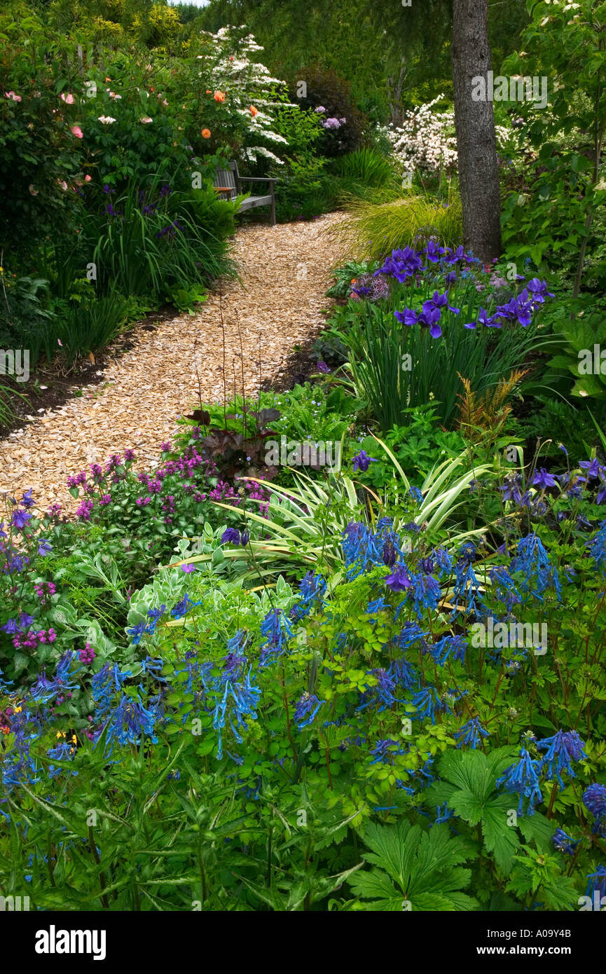 Wood chip path hi-res stock photography and images - Alamy