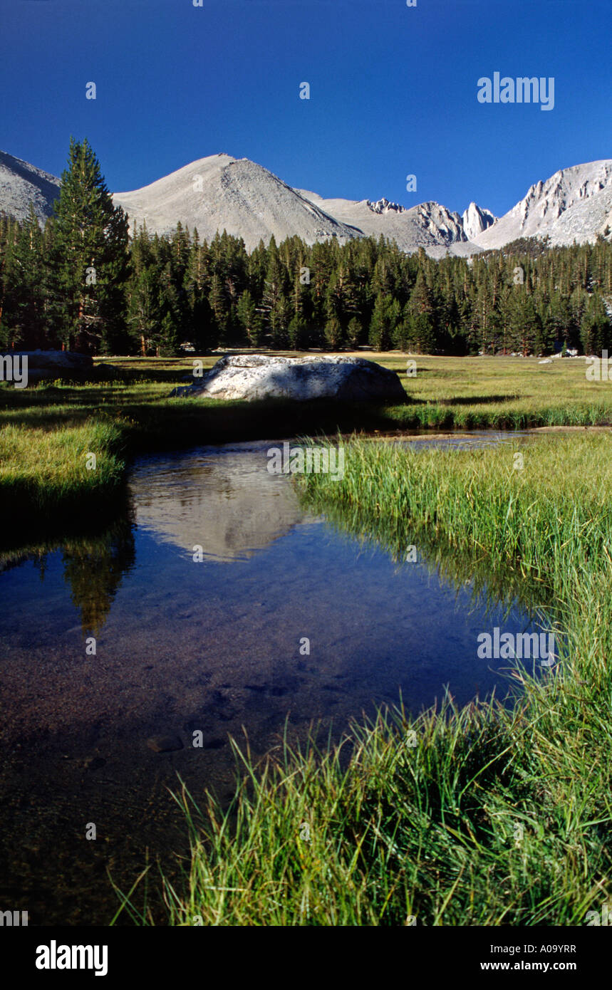 Whitney water park hi-res stock photography and images - Alamy