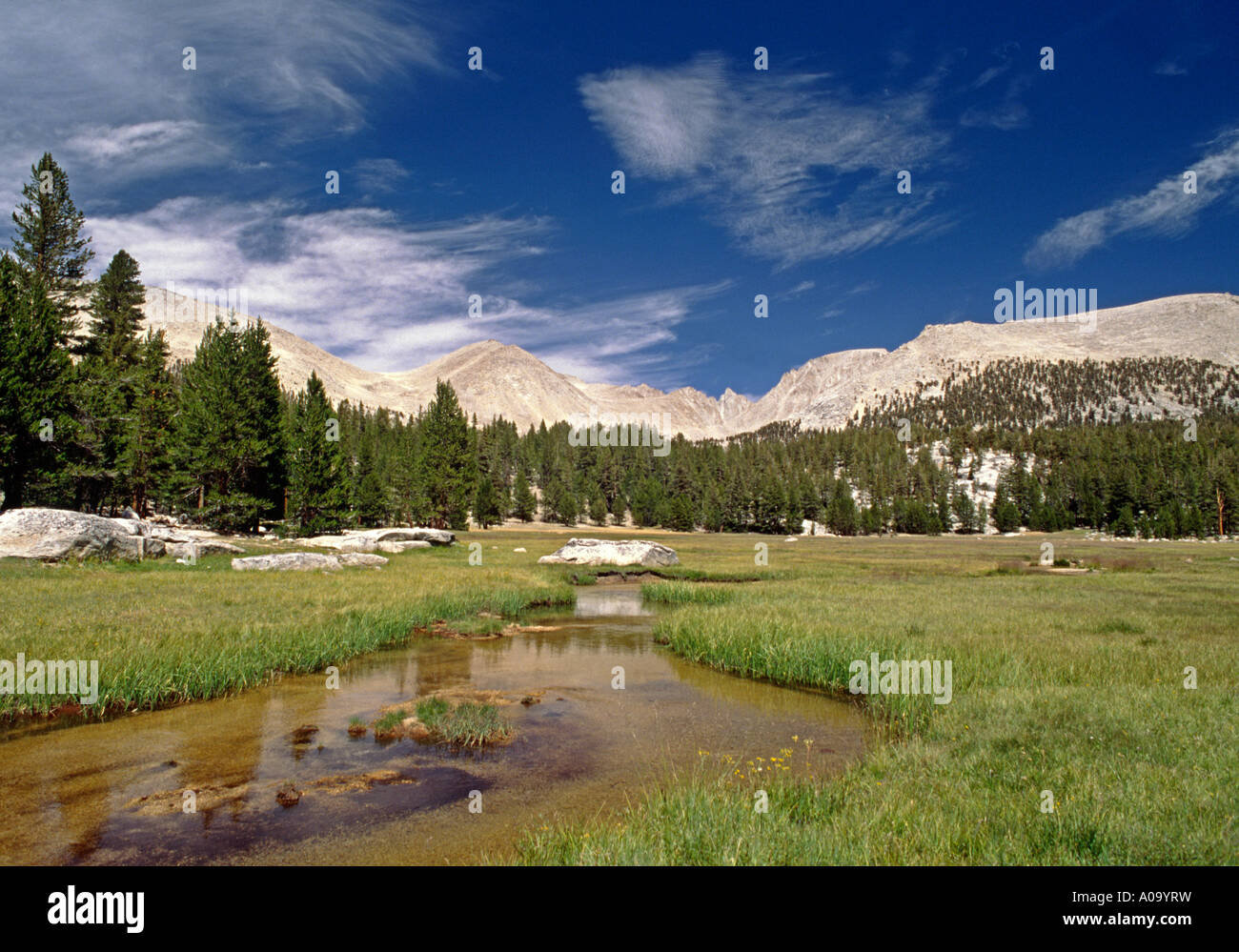 Crabtree creek hi-res stock photography and images - Alamy