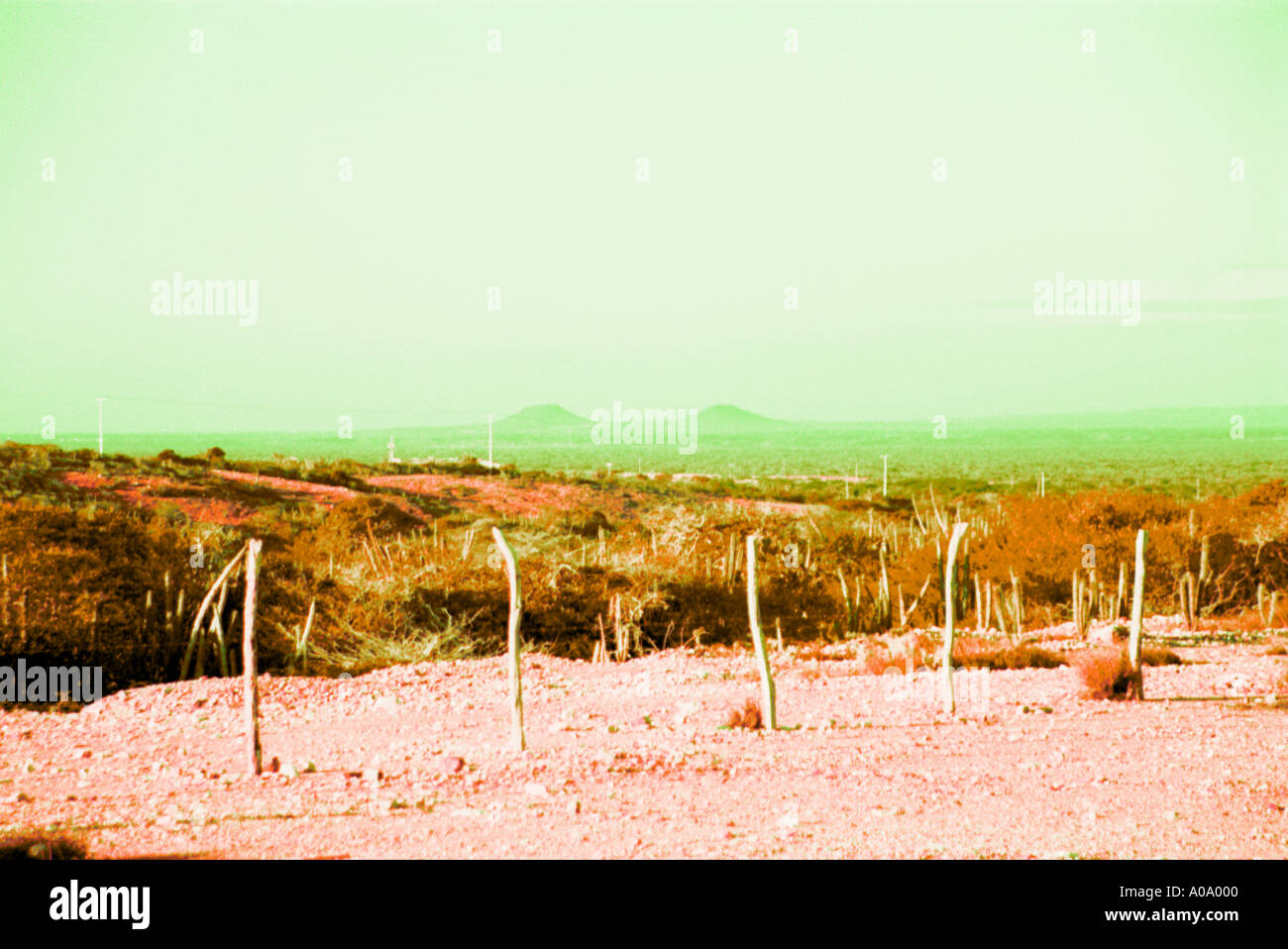 Desert scene 401 Stock Photo - Alamy