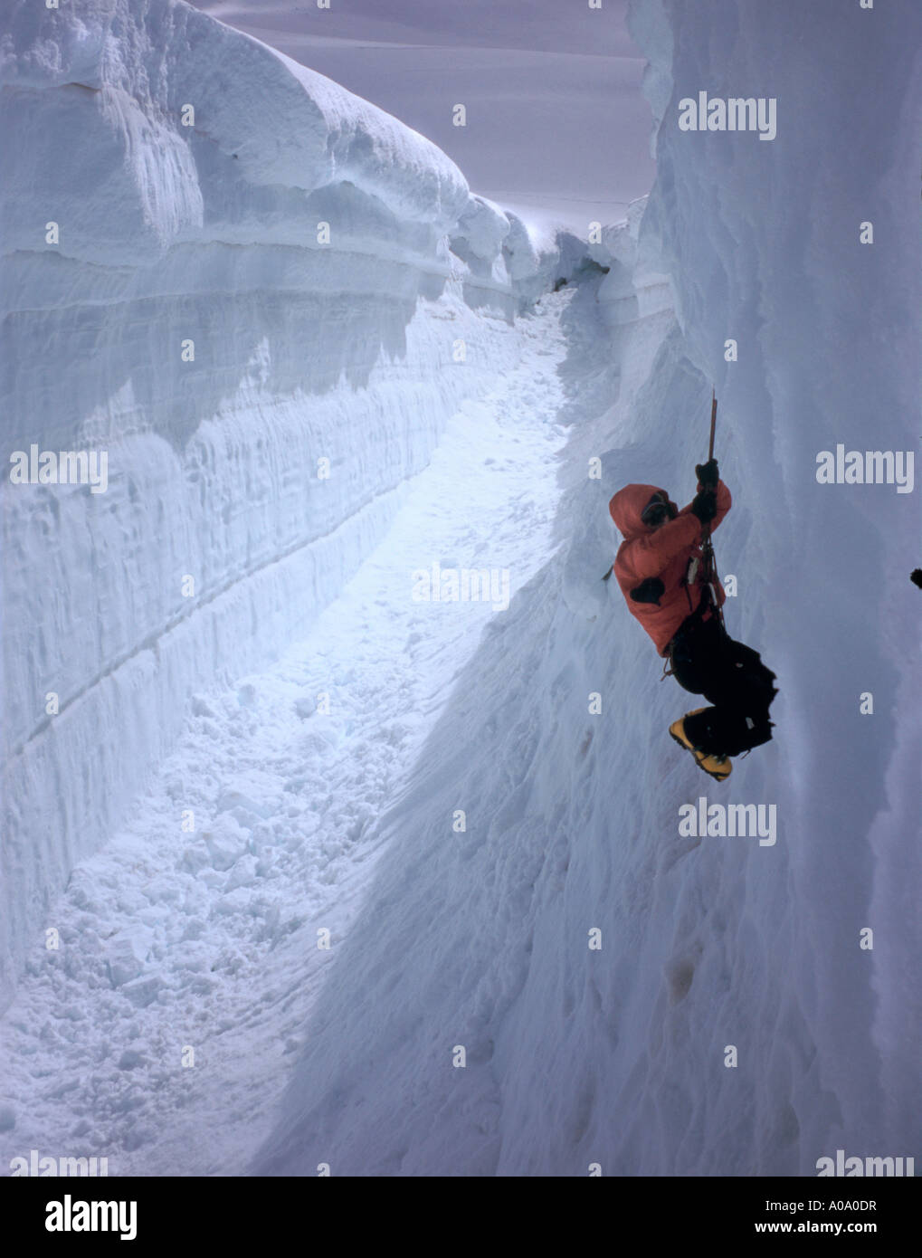 Portrait kahiltna hi-res stock photography and images - Alamy