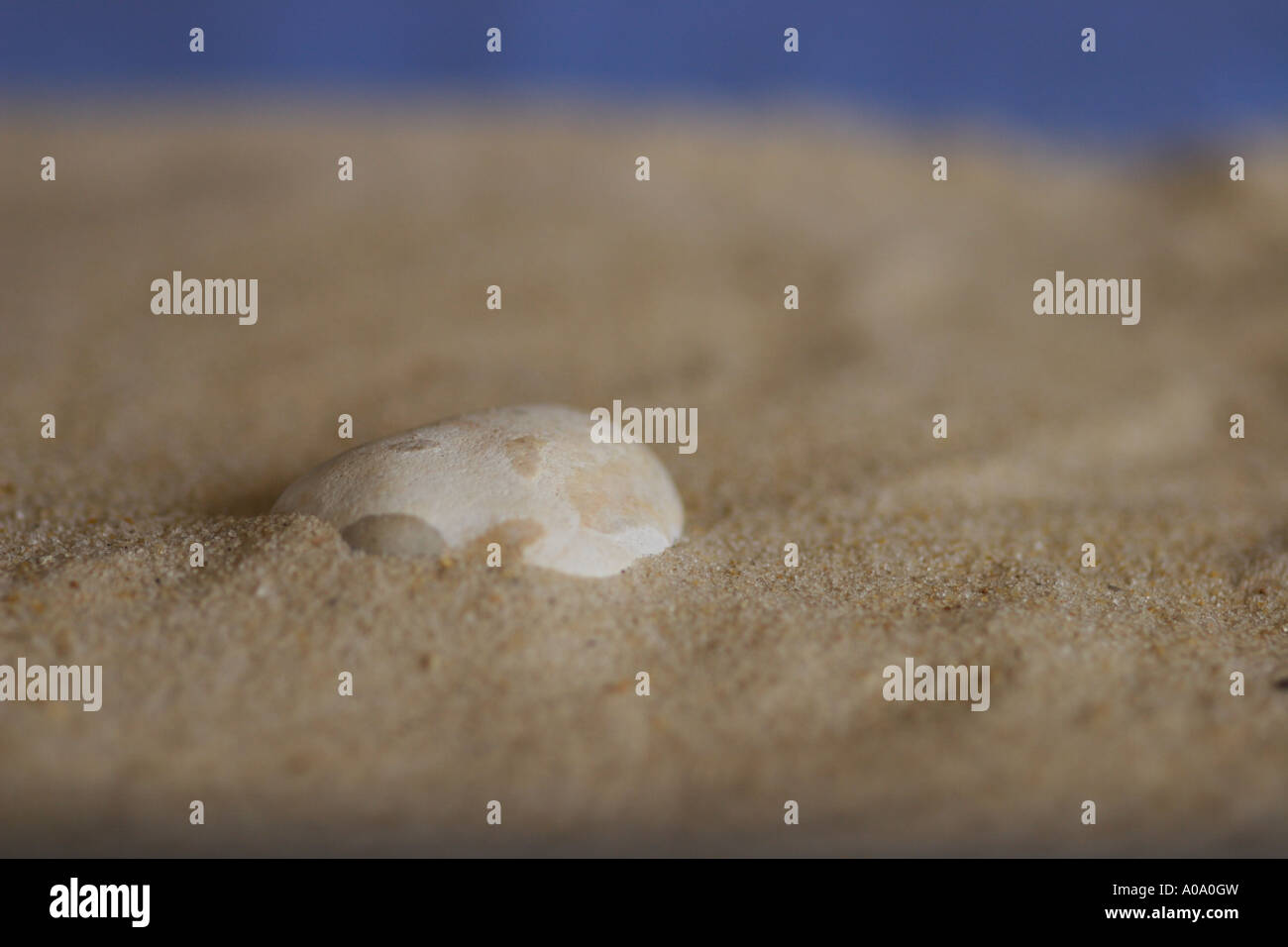 Stone in the Samd Stock Photo - Alamy