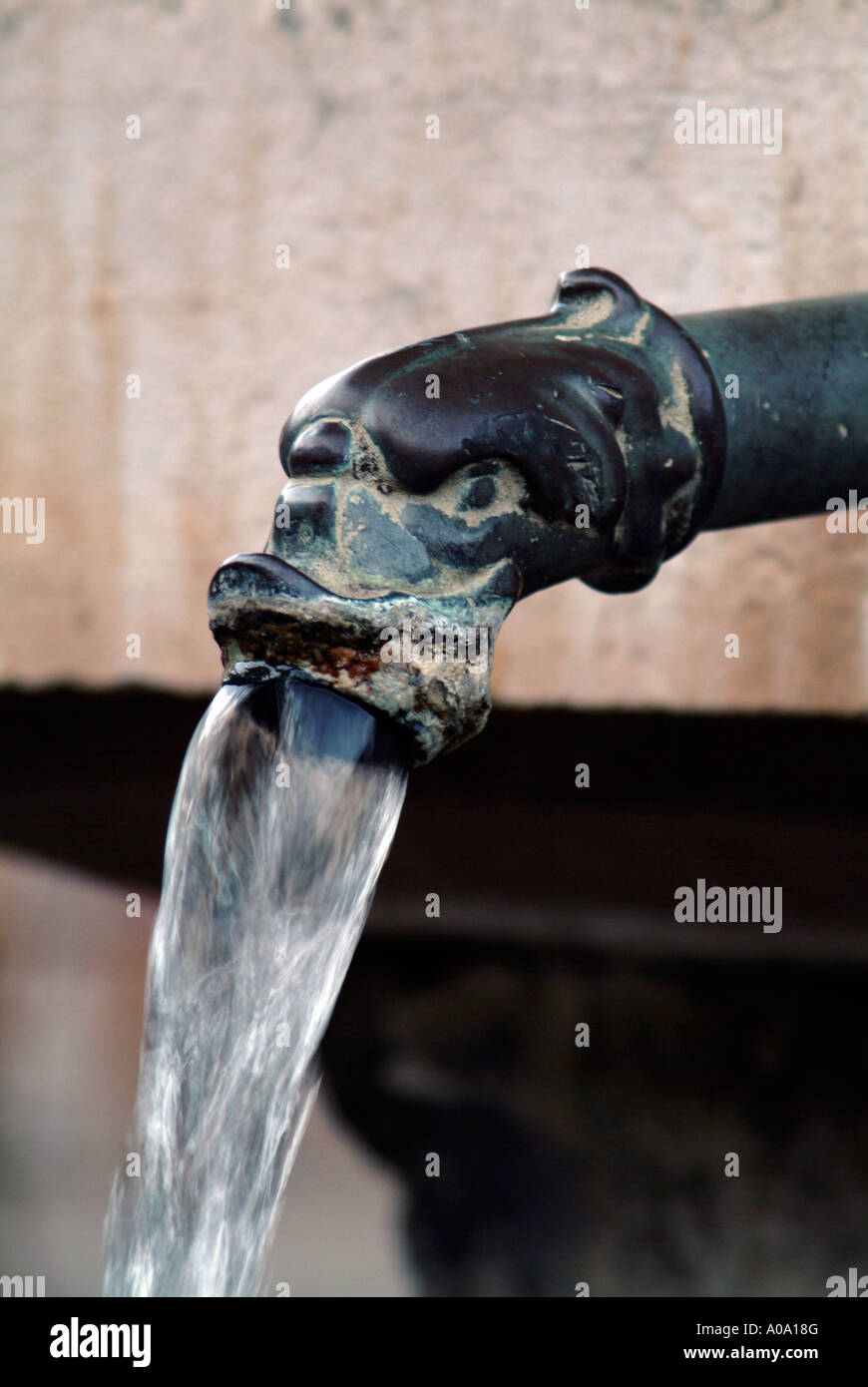 STYLISED DOLPHIN OR DRAGONS HEAD DRINKING WATER FOUNTAIN Stock Photo ...