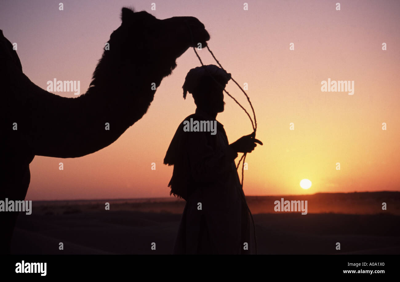 Dromedan hi-res stock photography and images - Alamy