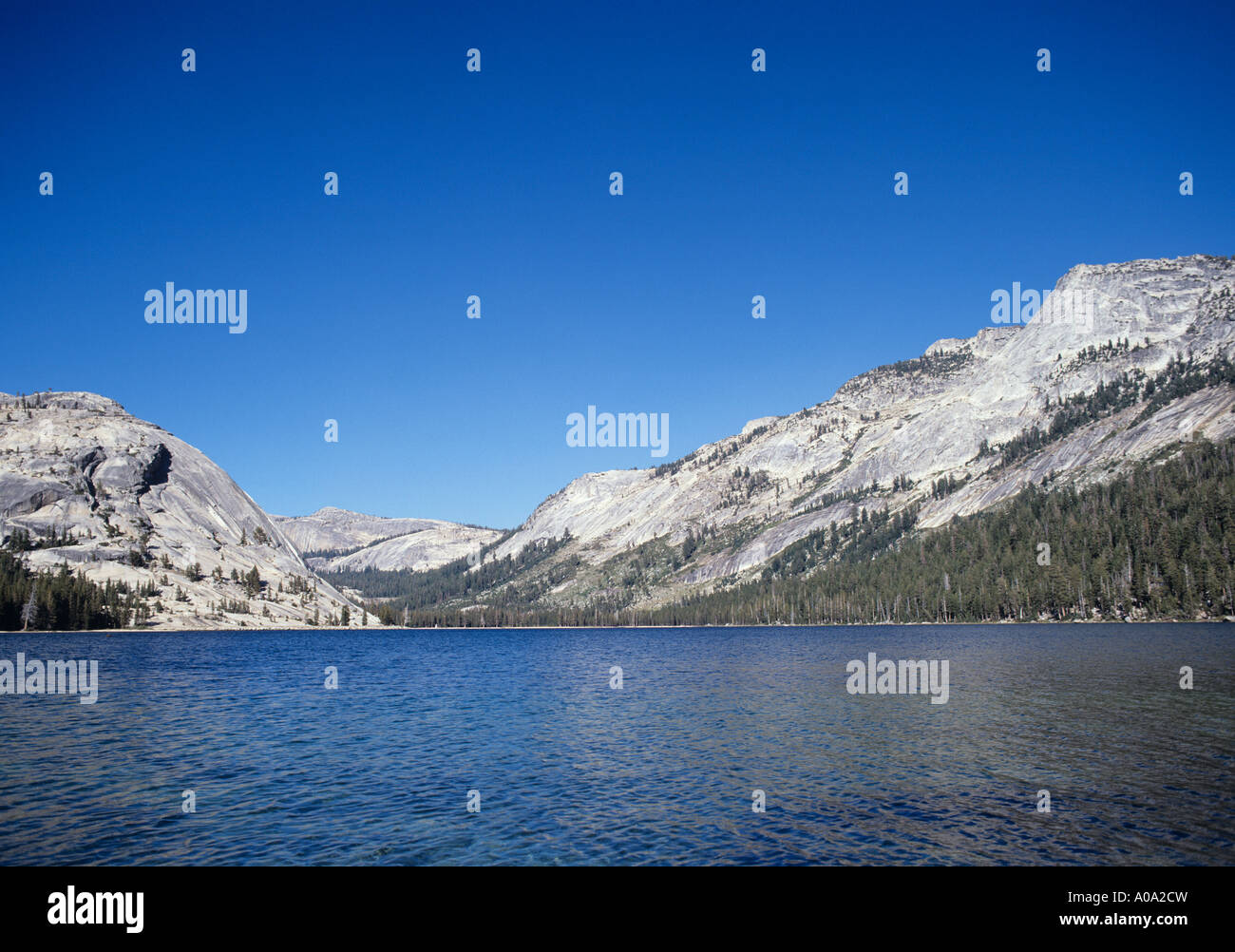 Yosemite National Park California Kalifornien Ca Lake Tenaya See Stock ...