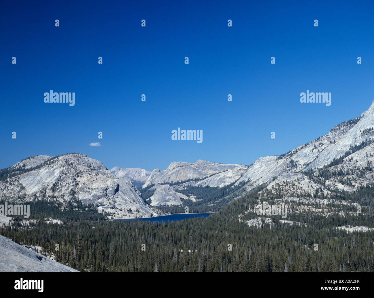 Nationalpark punkt hi-res stock photography and images - Alamy