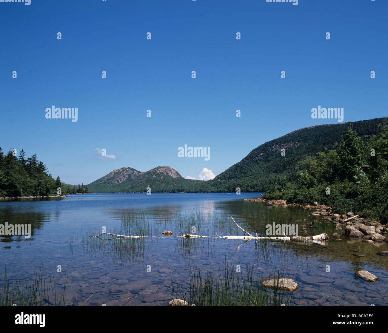 Acadia National Park Jordan Pond Maine Nationalpark US USA United ...