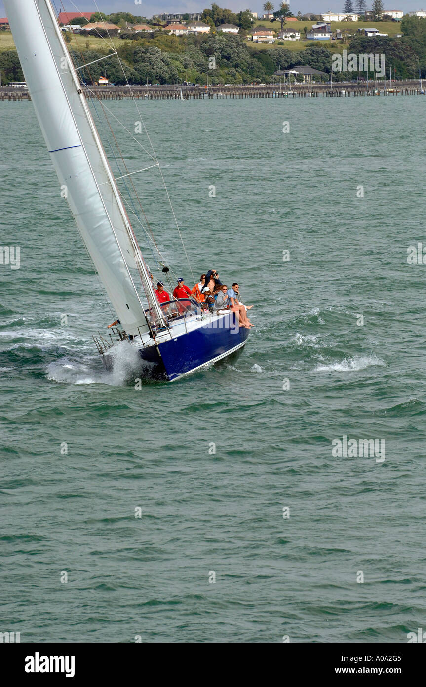 Sailing Yacht Waitemata harbour Huraki Gulf Auckland New Zealand Stock ...