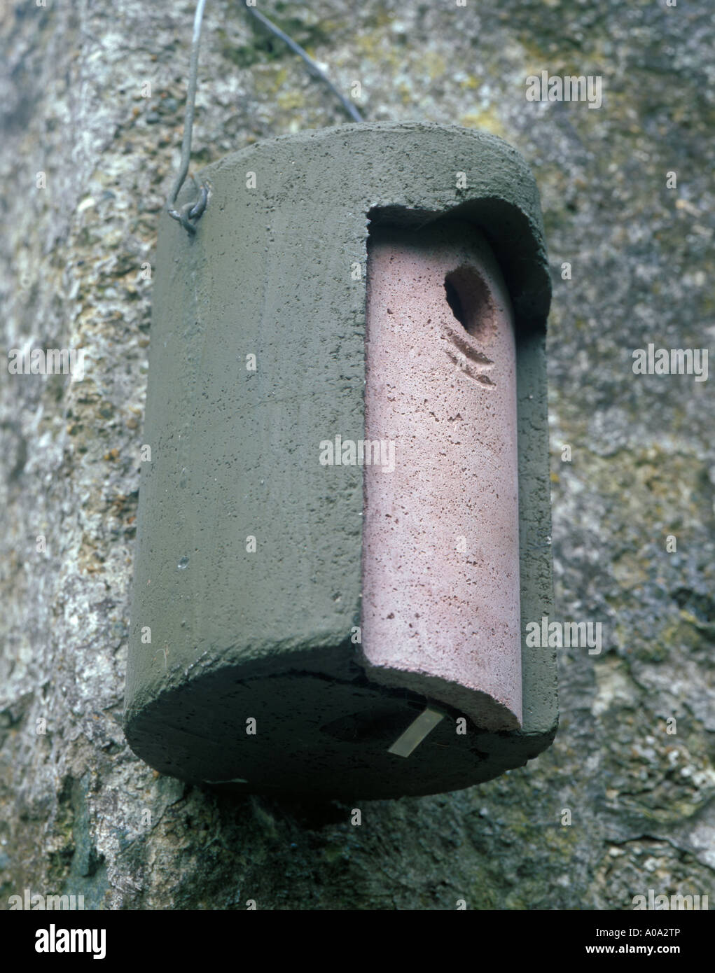 Modern "woodcrete" bird nesting box Stock Photo - Alamy