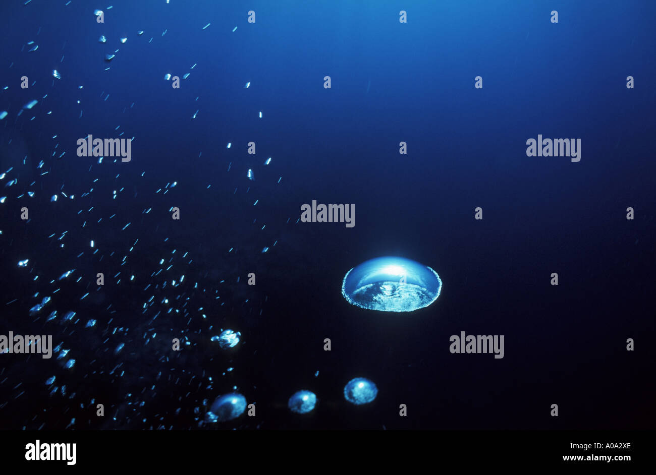 Bubbles rising in the Pacific Ocean Stock Photo - Alamy
