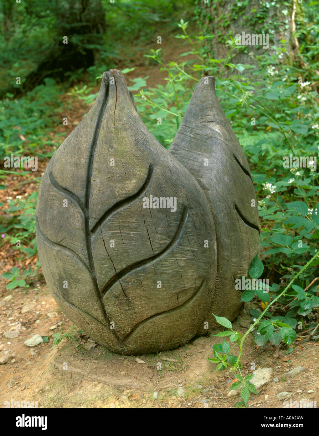 Wooden seed pods sculpture by Dominic Clare, at Llangefni Dingle ...