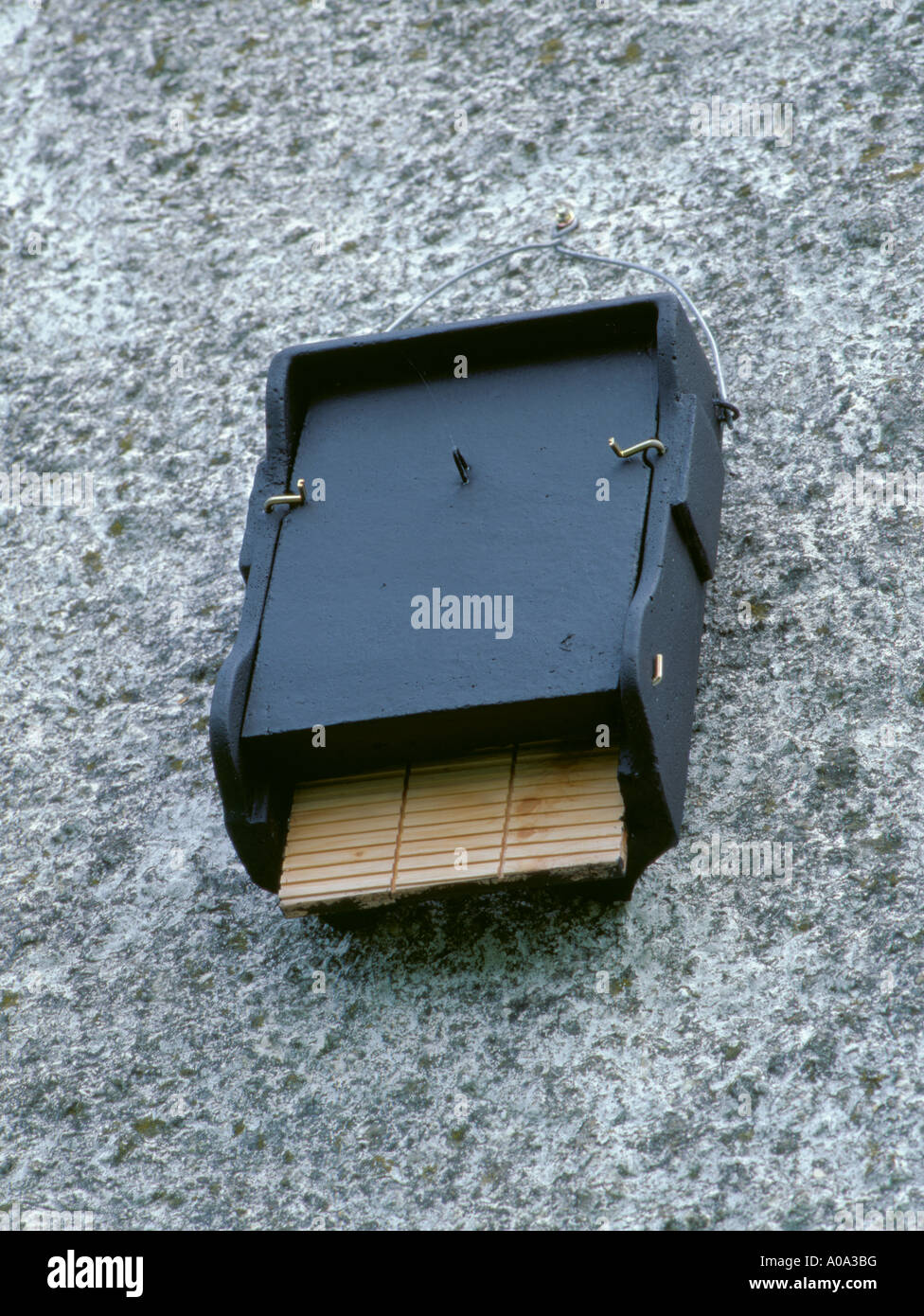 Modern "woodcrete" bat roost box Stock Photo - Alamy