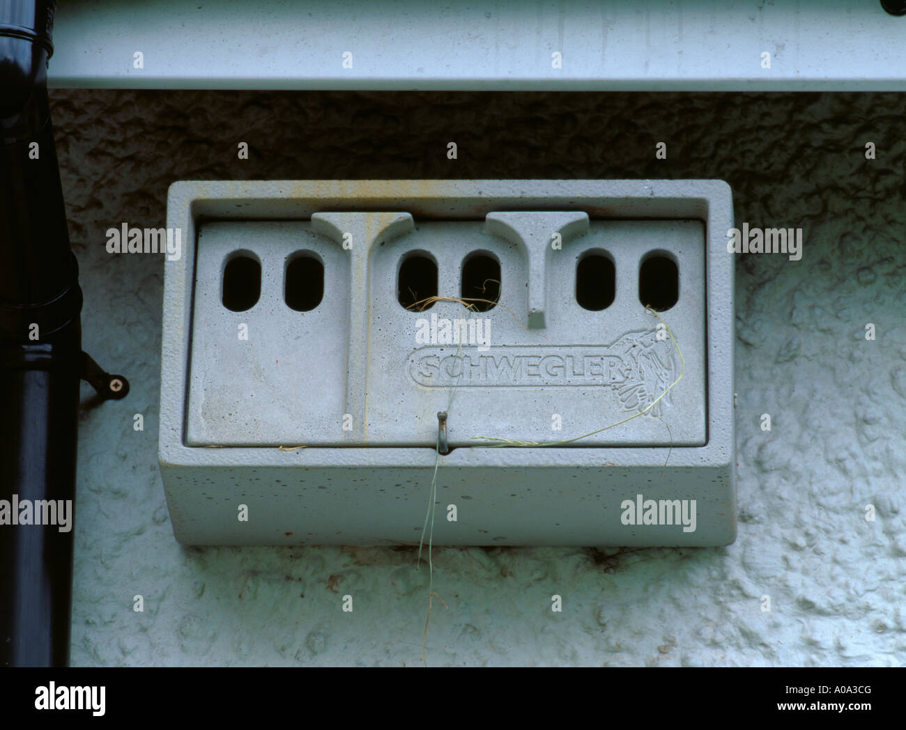 Modern "woodcrete" sparrow terrace nest box made by Schwegler Stock ...