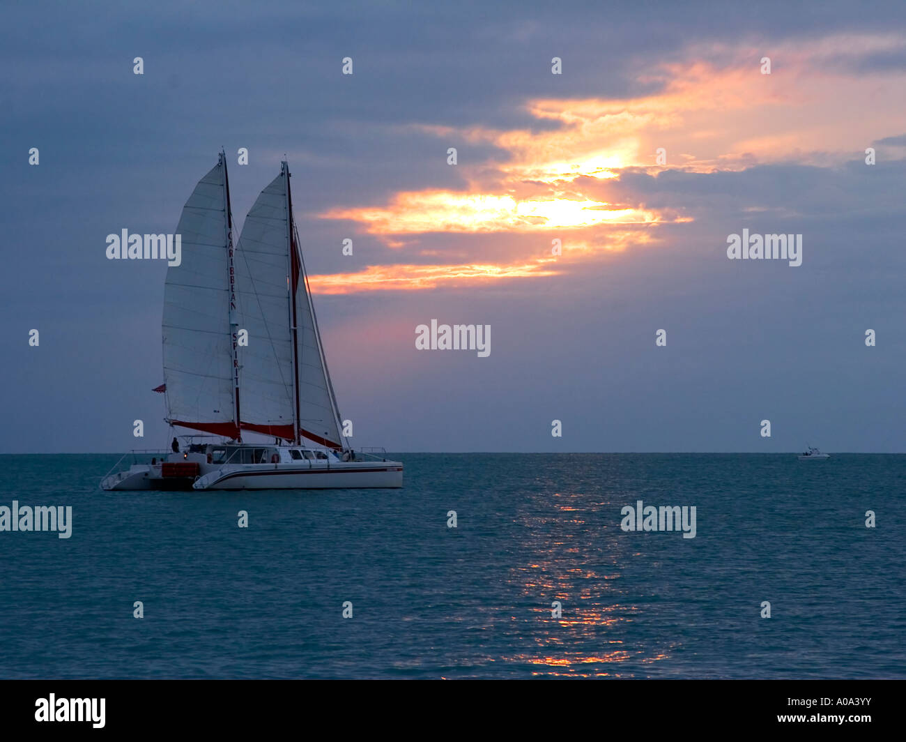 American catamaran hi-res stock photography and images - Alamy