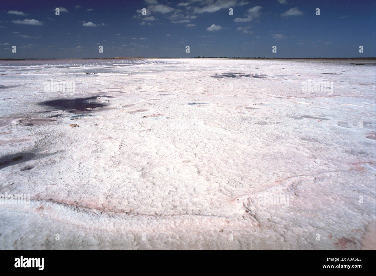 Salt Lake South Australia Stock Photo - Alamy