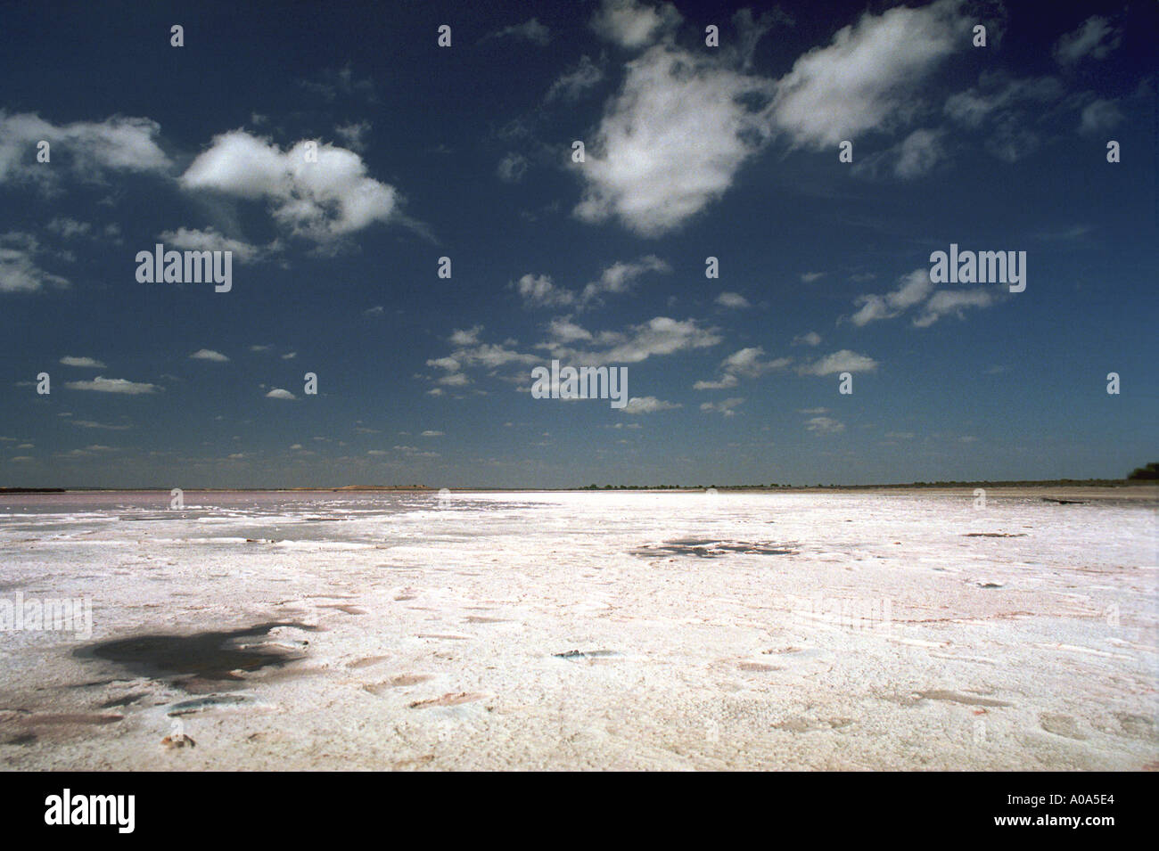 Salt Lake South Australia Stock Photo - Alamy