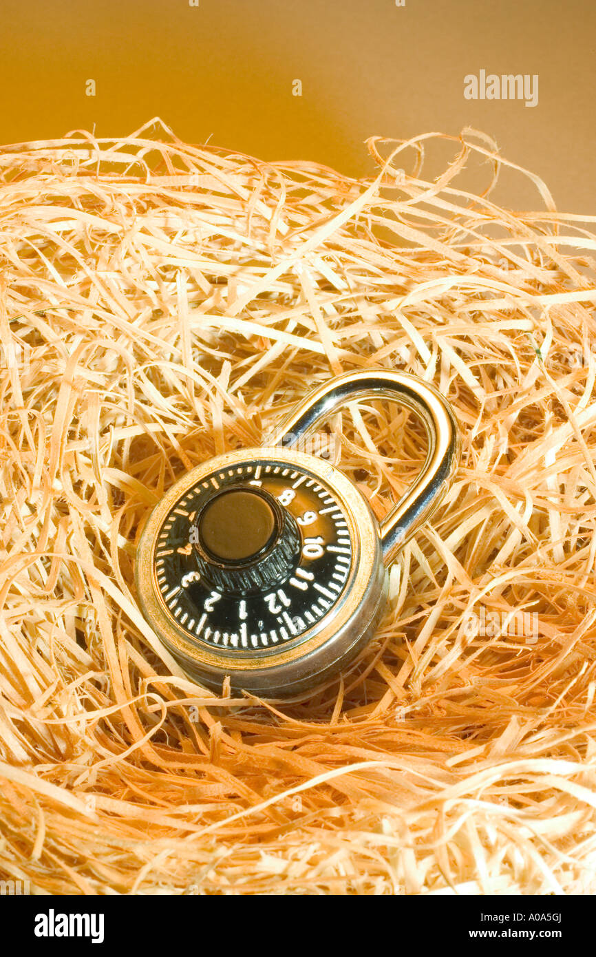 Combination Lock in Nest Stock Photo - Alamy