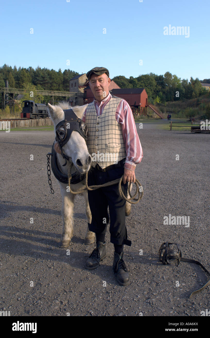 Pit pony hi-res stock photography and images - Alamy