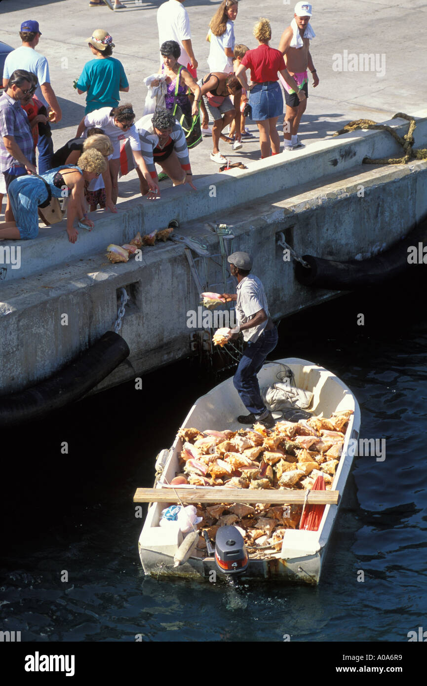CARIBBEAN BAHAMAS NASSAU Fisherman selling Conch Shells from fishing ...