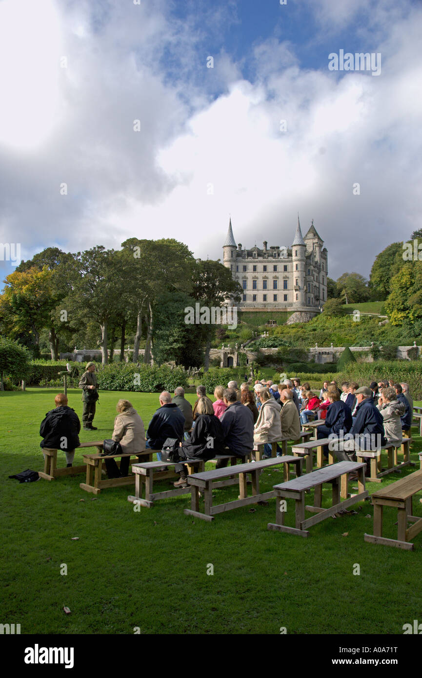 Falconry display dunrobin castle golspie hi-res stock photography and ...